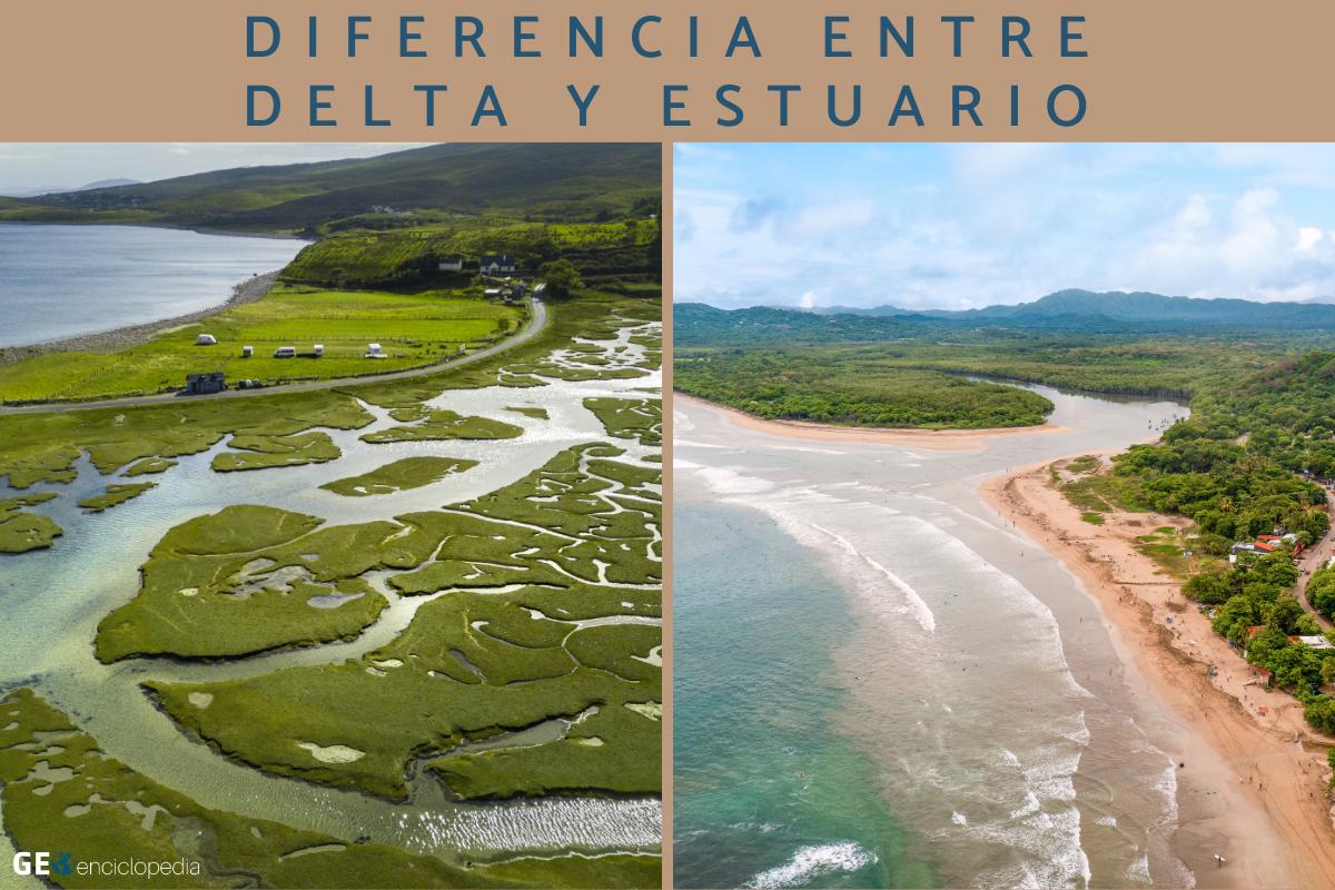 Diferencia entre delta y estuario - Resumen
