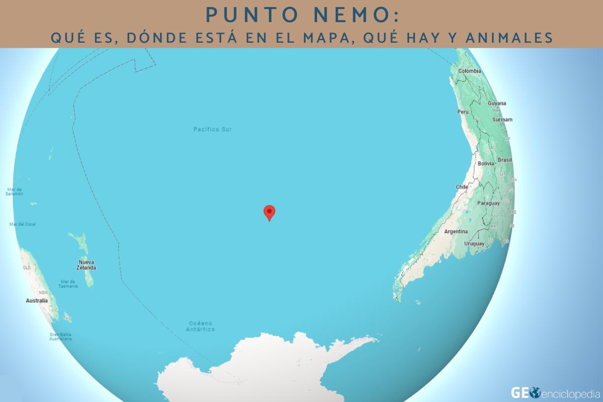 Punto Nemo: qué es, dónde está en el mapa, qué hay y animales - Resumen