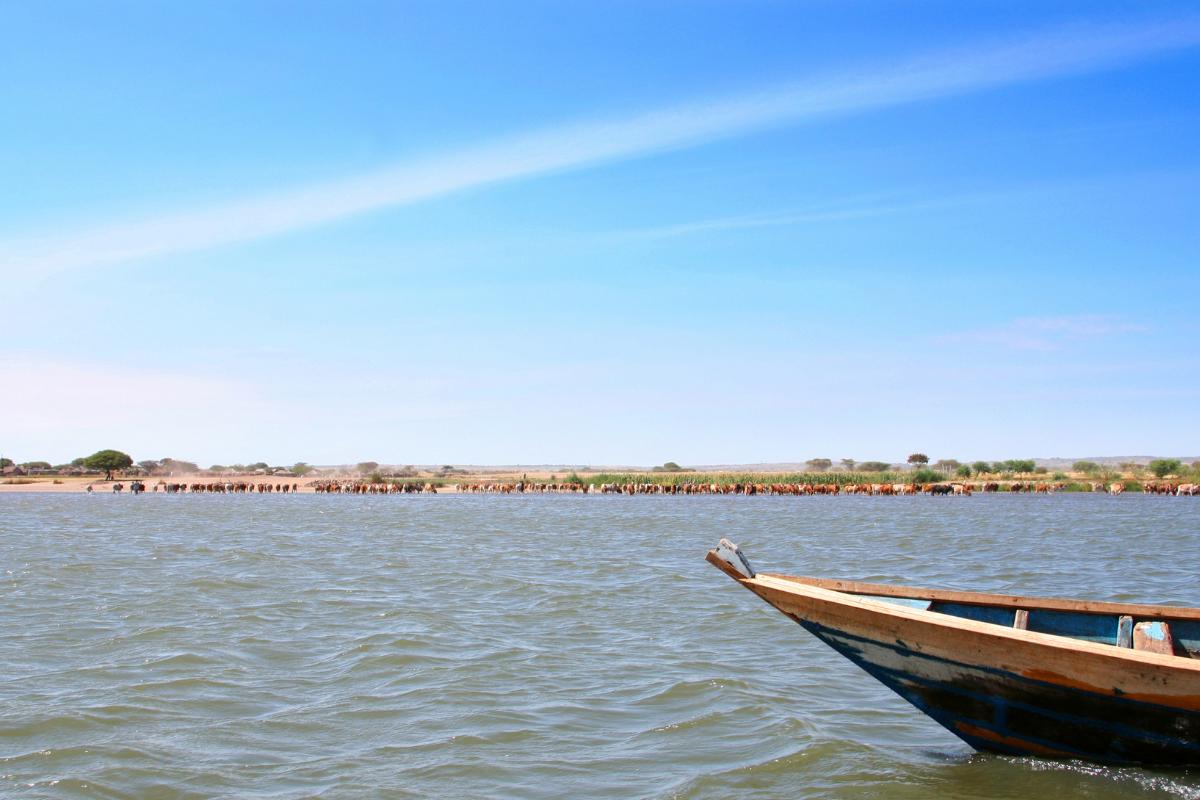 Lago Victoria - Características, historia, flora y fauna