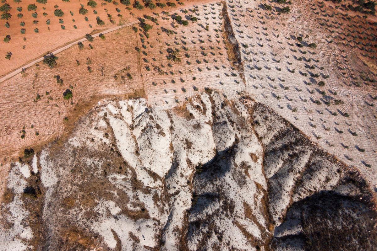 Desertificación: qué es, causas y consecuencias - Resumen