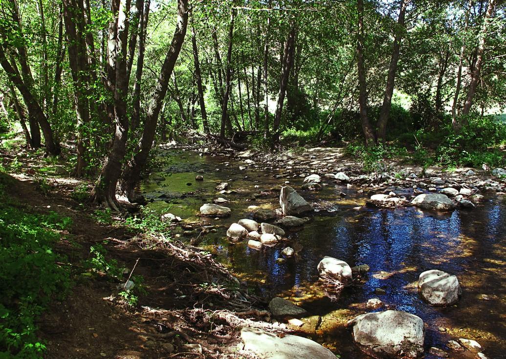 12 ríos de Madrid - Nombres y mapa