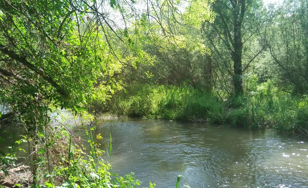 12 ríos de Madrid - Nombres y mapa