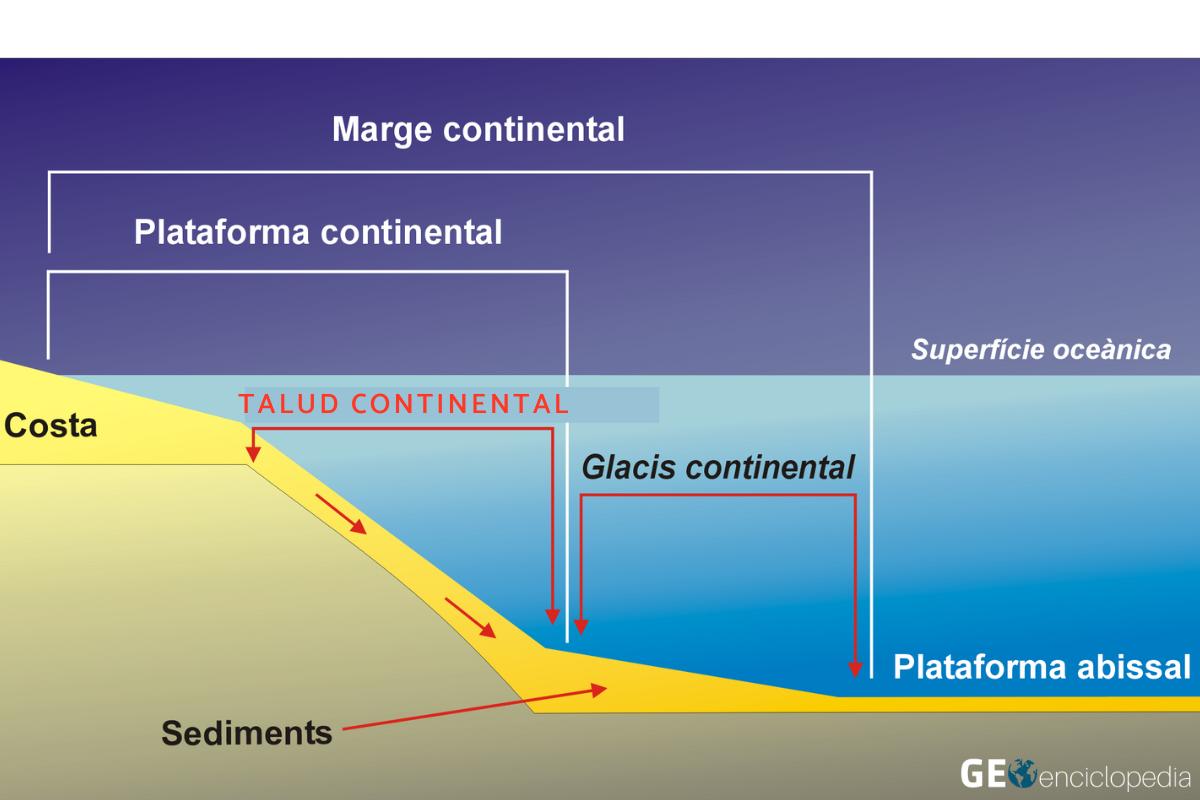 Talud continental: qué es, características y cómo se forma - Resumen