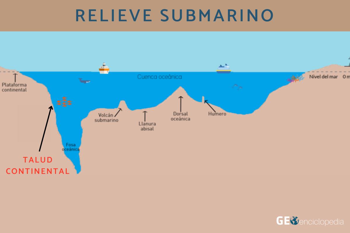 Talud continental: qué es, características y cómo se forma - Resumen