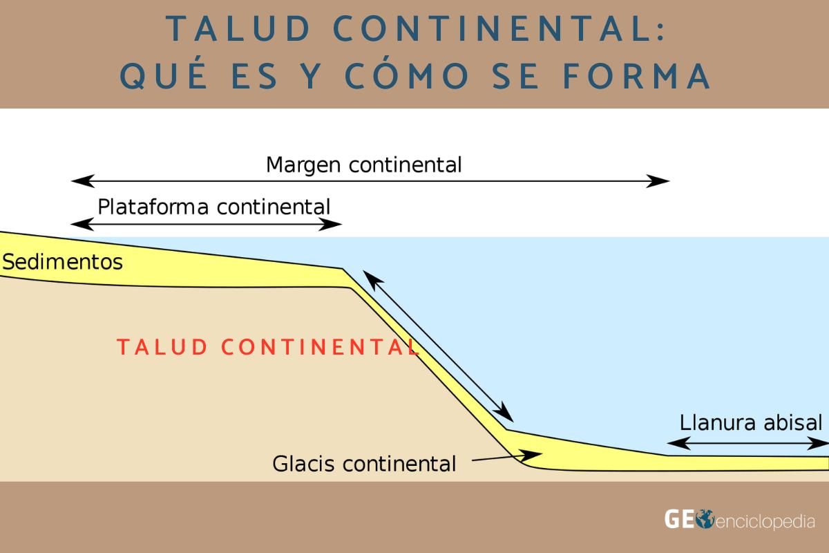 Talud continental: qué es, características y cómo se forma - Resumen