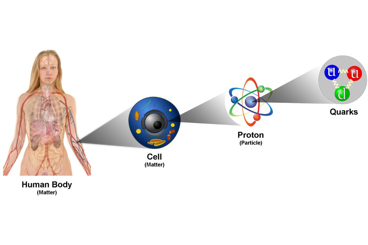 Quarks: qué son, descubrimiento y tipos - Resumen