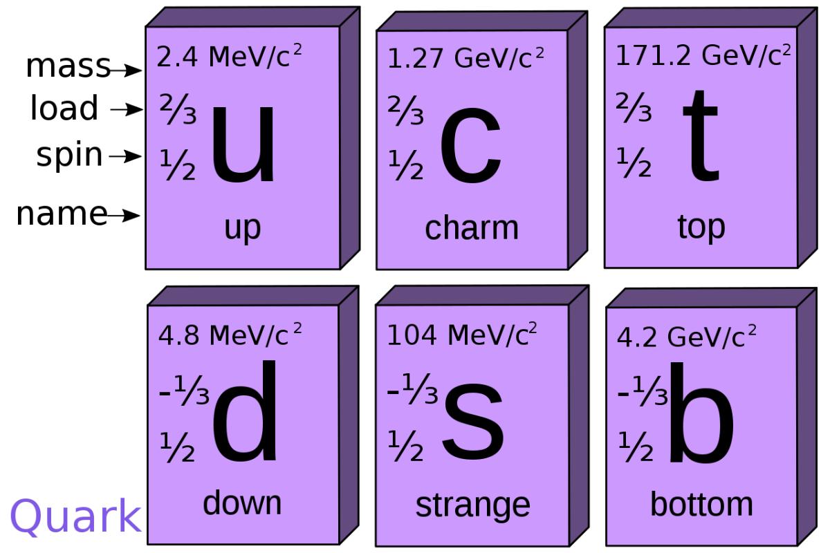 Quarks: qué son, descubrimiento y tipos - Resumen
