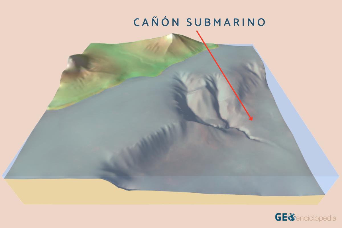 Cañón submarino: qué es, características y cómo se forma - Resumen