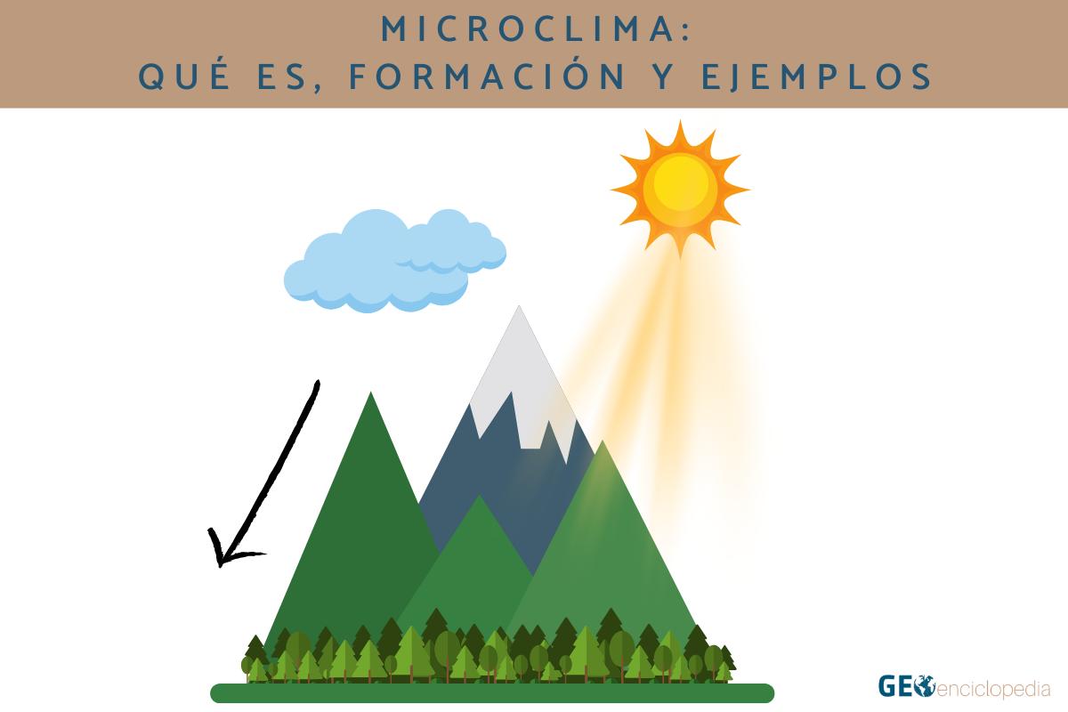 Microclima: qué es, formación y ejemplos - Resumen