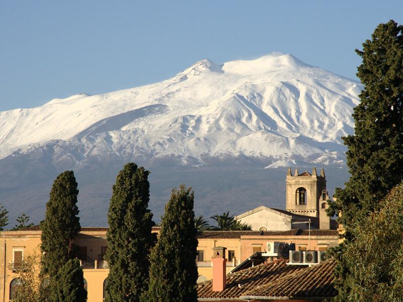 Po Etna El Nombre 🪴Echeveria Etna Y Otras; Sin Nombre, Pero Bellas.