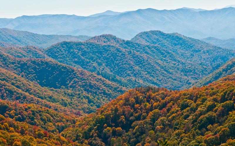 Montes Apalaches - Características y formación