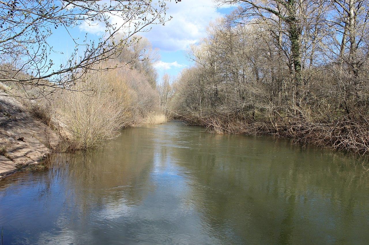 Río Jarama - Mapa, nacimiento, longitud y desembocadura